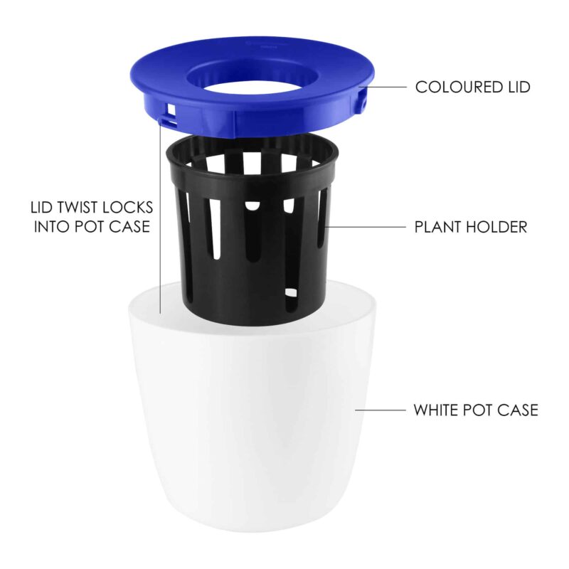 Best Mini Desk Plant Pot | Corporate Gifts